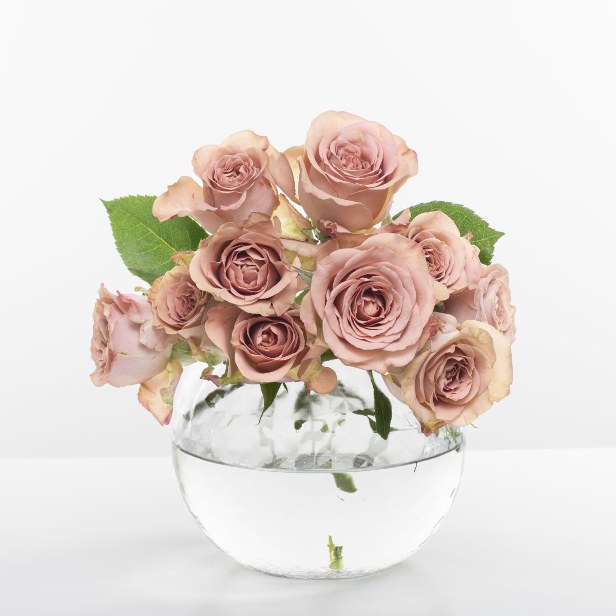 Comprar ramo de Rosas - 18 Pétalos